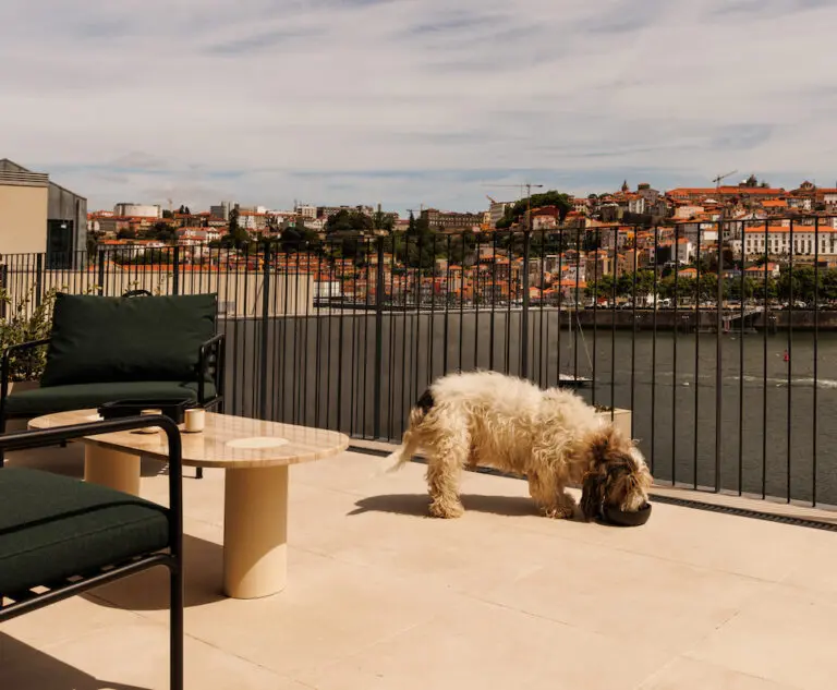 Our Hotel - Luxury Hotel & Spa in Porto - The Rebello