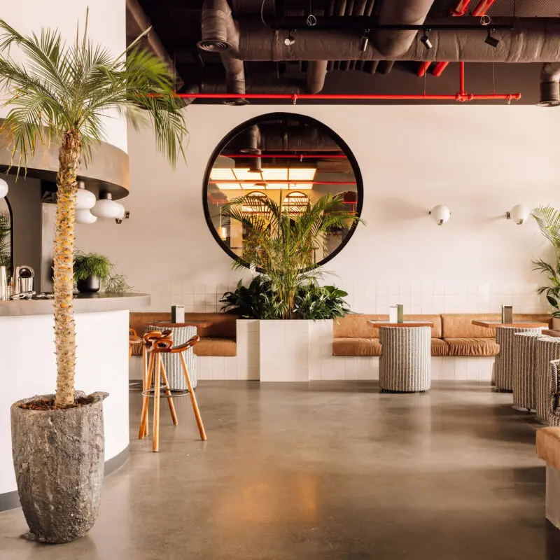Eat & Drink - Lifestyle Hotel in Porto - The Rebello